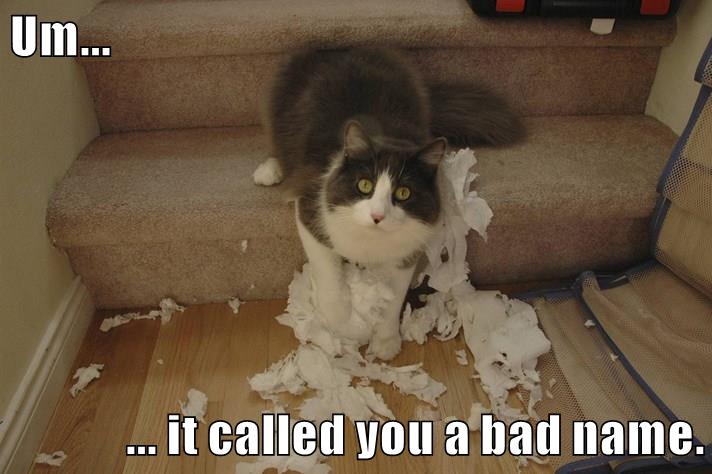 Um... ... it called you a bad name. - Lolcats - lol | cat memes | funny ...