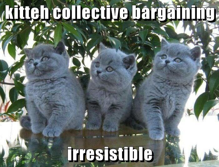 Kitteh collective bargaining irresistible - Lolcats - lol | cat memes ...