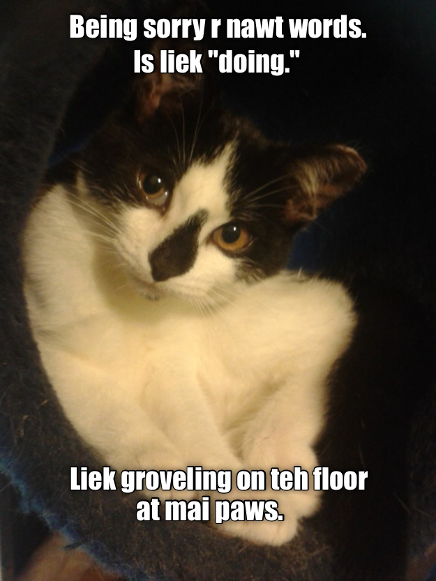 I nawt see yu groveling. Sew yu'r nawt srry! - Lolcats - lol | cat ...
