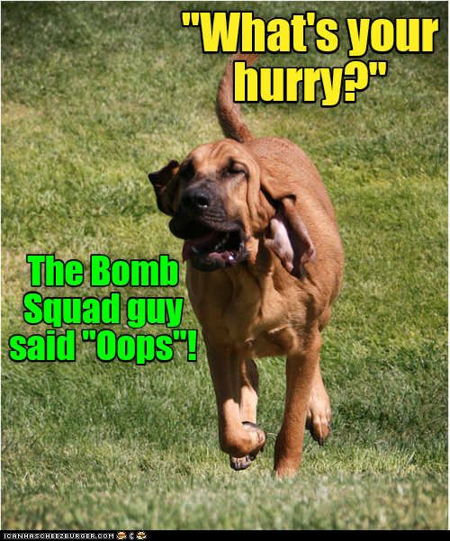 RUN!!!!! - I Has A Hotdog - Dog Pictures - Funny pictures of dogs - Dog ...