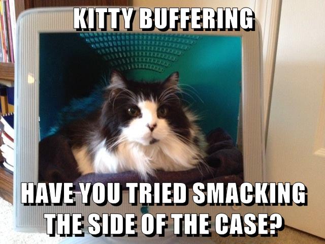 KITTY BUFFERING - Lolcats - lol | cat memes | funny cats | funny cat ...