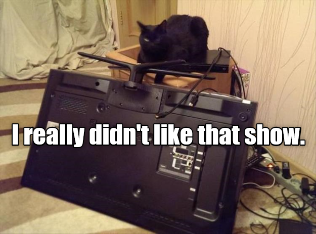 Not watching that again - Lolcats - lol | cat memes | funny cats ...