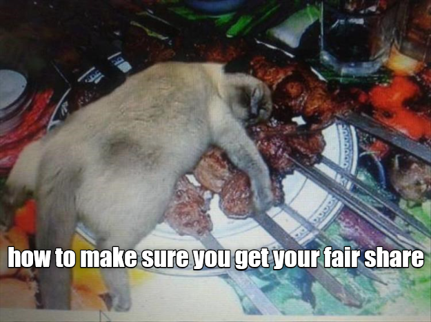 How to make sure you get your fair share - Lolcats - lol | cat memes ...