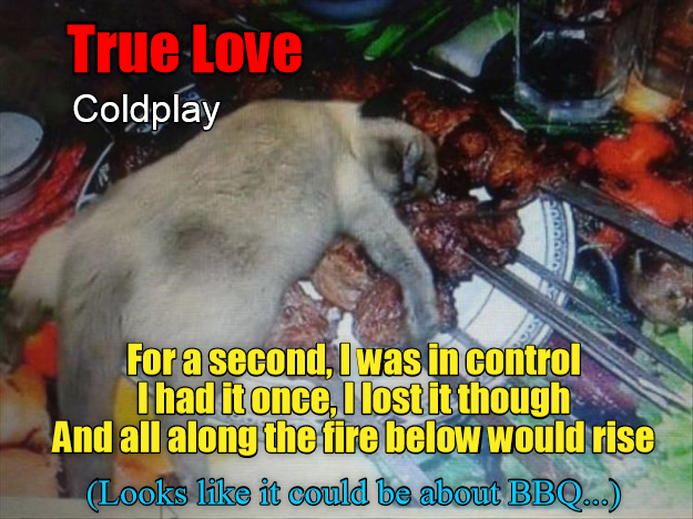 True Love - Lolcats - lol | cat memes | funny cats | funny cat pictures ...