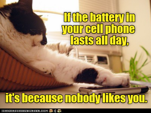 Snarky Cat is very snarky - Lolcats - lol | cat memes | funny cats ...