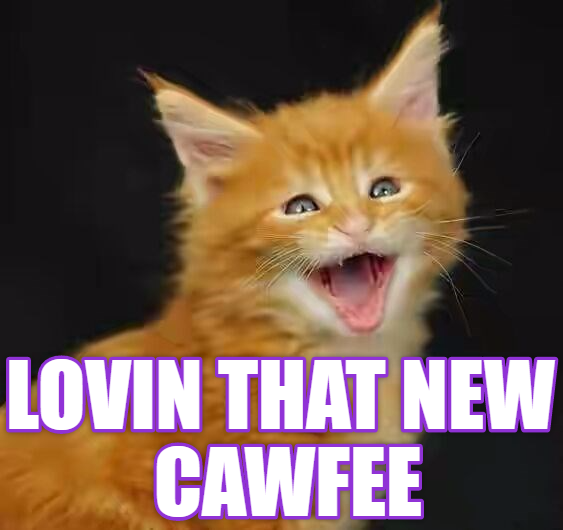 Kitteh's Been Up Awl Night - Lolcats - lol | cat memes | funny cats ...