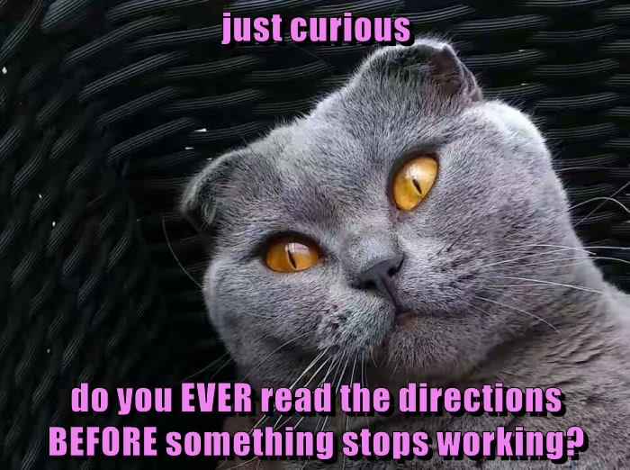 Just curious - Lolcats - lol | cat memes | funny cats | funny cat ...