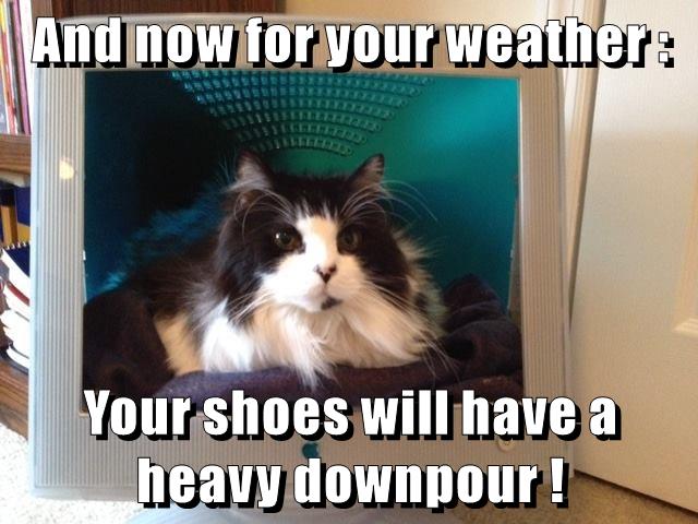 And now for your weather - Lolcats - lol | cat memes | funny cats ...