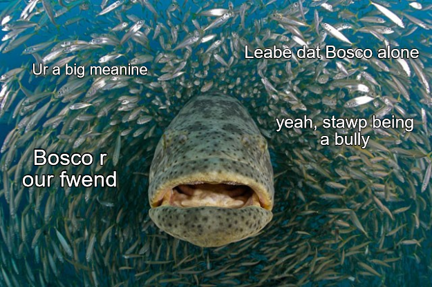 Anchovies go on attack - Animal Comedy - Animal Comedy, funny animals ...