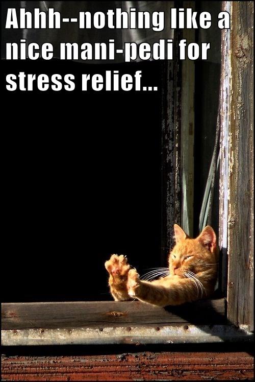 Mani Pedi Memes 28 Hilarious Nail Memes You Need To See – IGel