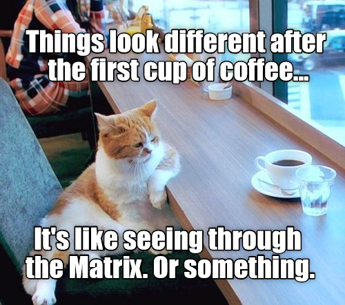 Everything Is Better After Coffee - I Can Has Cheezburger?