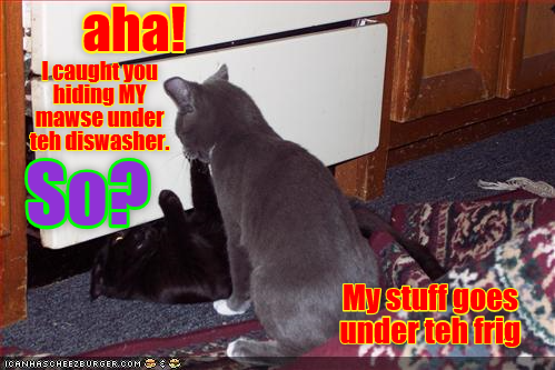 2 cats equals more toys in more places - Lolcats - lol | cat memes ...