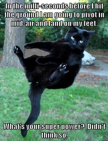 Meme Is My Super Power