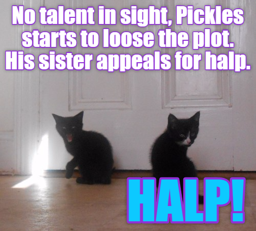 Halp! - Lolcats - lol | cat memes | funny cats | funny cat pictures ...