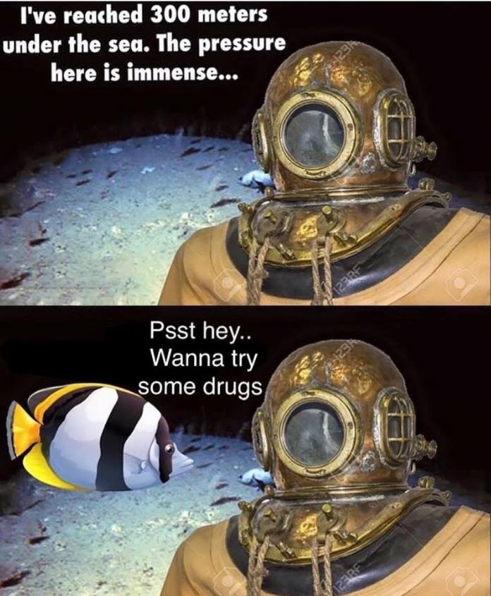 Memebase - peer pressure - All Your Memes In Our Base - Funny Memes - Cheezburger