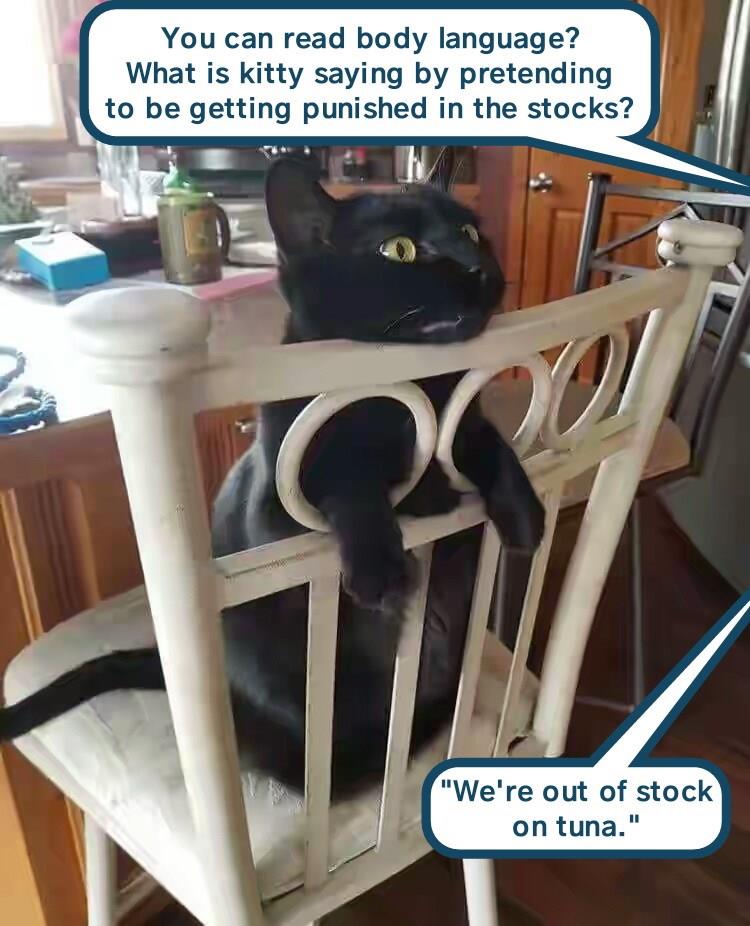 Reading kitty body language, #2 - Lolcats - lol | cat memes | funny ...