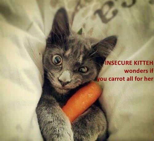 INSECURE KITTEH wonders if you carrot all for her - Lolcats - lol | cat ...