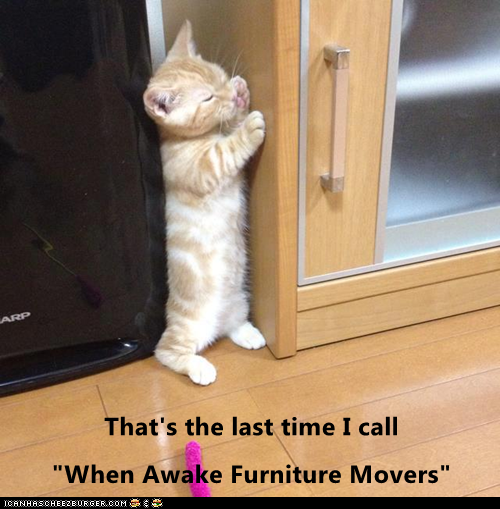 That's the last time I call "When Awake Furniture Movers" - Lolcats ...