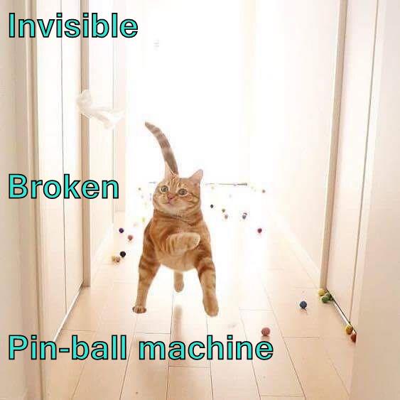 Invisible Broken Pin-ball machine - Lolcats - lol | cat memes | funny ...