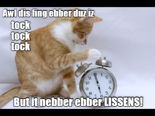 Stoopie clock awlwayz tockin - Lolcats - lol | cat memes | funny cats ...