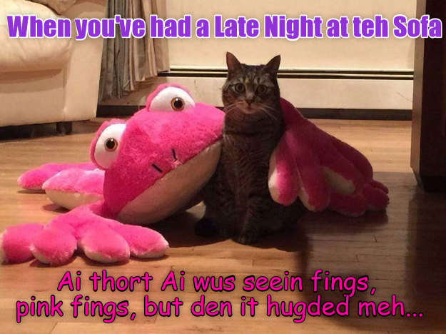 Late Night at teh Sofa - Lolcats - lol | cat memes | funny cats | funny ...