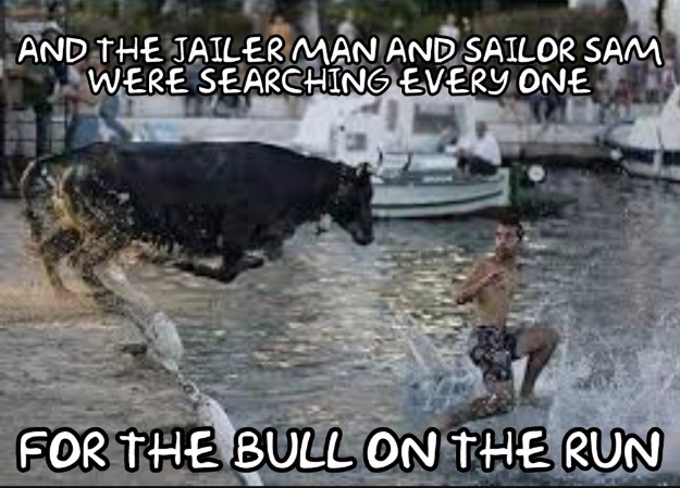 Bull-o-rama - Animal Comedy - Animal Comedy, funny animals, animal gifs