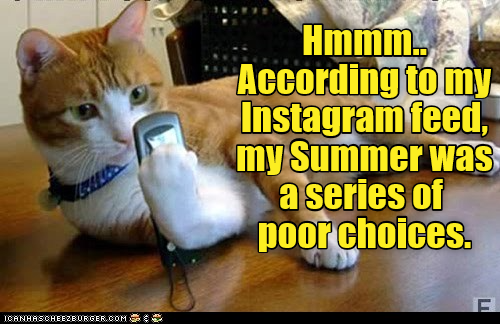 I don't remember doing that. - Lolcats - lol | cat memes | funny cats ...