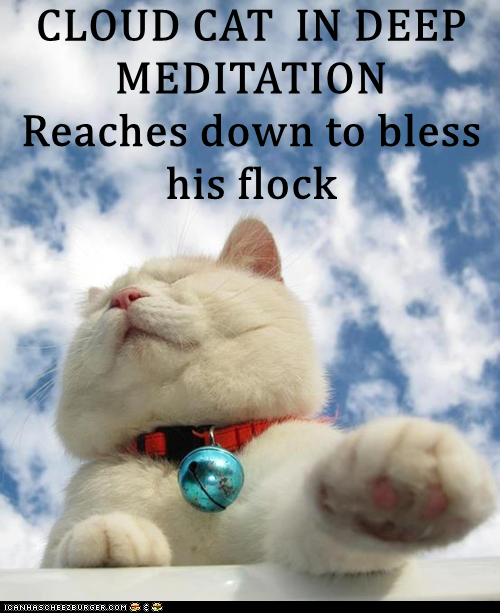 CLOUD CAT IN DEEP MEDITATION Reaches down to bless his flock - Lolcats ...