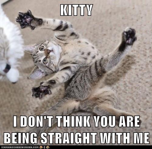 BEING STRAIGHT - Lolcats - lol | cat memes | funny cats | funny cat ...