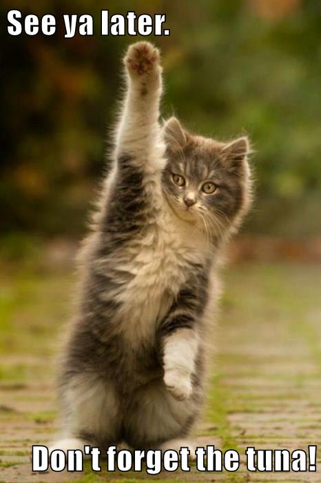 See ya later. Don't forget the tuna! - Lolcats - lol | cat memes ...