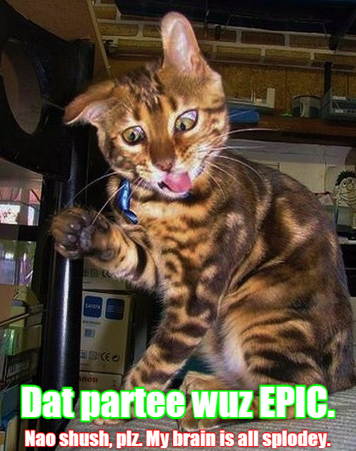 Hangover Cat is ... well ... - Lolcats - lol | cat memes | funny cats ...