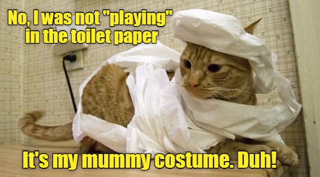 But it's only September - Lolcats - lol | cat memes | funny cats ...