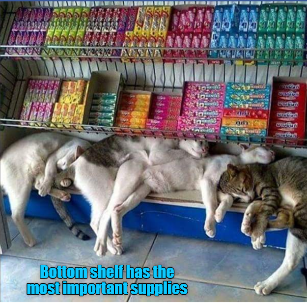 A Shopper's Guide... - Lolcats - lol | cat memes | funny cats | funny ...