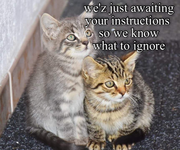 Civilized disobedience - Lolcats - lol | cat memes | funny cats | funny ...