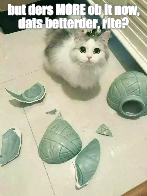 But ders more ob it now, dats betterder, rite? - Lolcats - lol | cat ...
