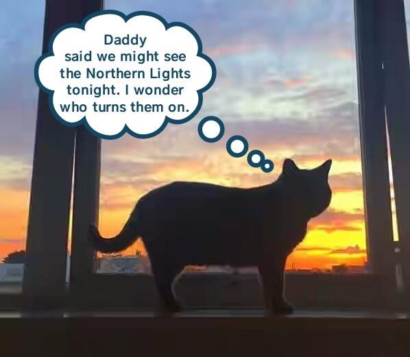 How does he know? Did he sign up for notifications? - Lolcats - lol ...