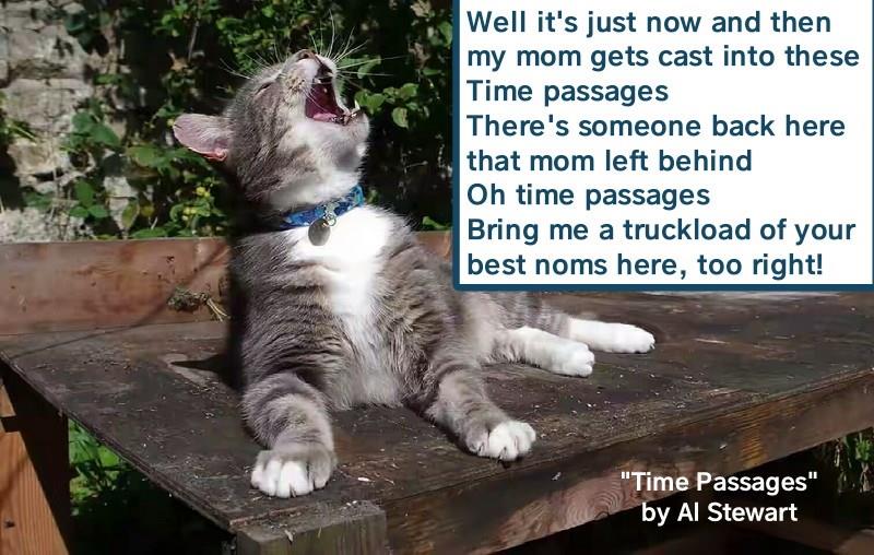 "Time Passages" by Al Stewart - Lolcats - lol | cat memes | funny cats ...