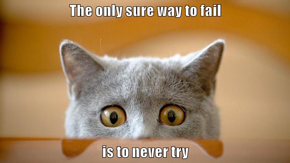 The only sure way to fail is to never try - Lolcats - lol | cat memes ...