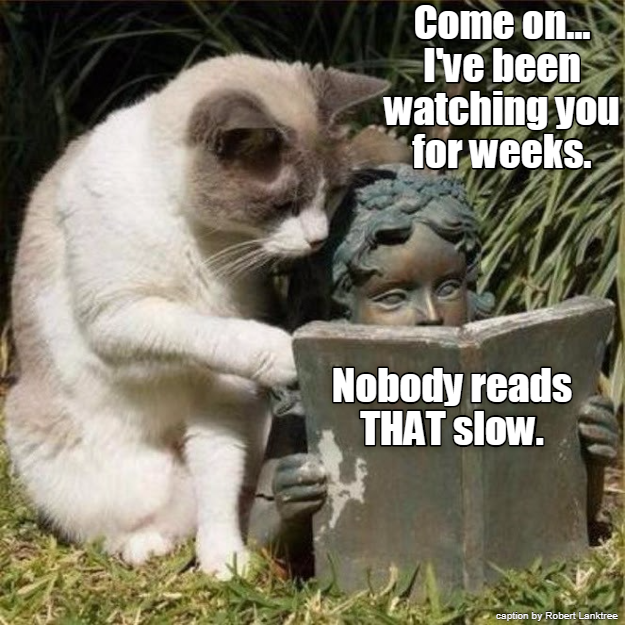 Nobody reads THAT slow! - Lolcats - lol | cat memes | funny cats ...
