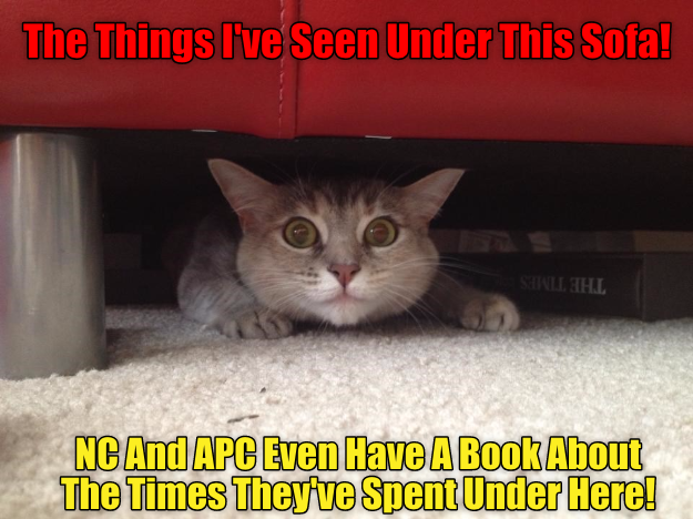 Shock And Awe! - Lolcats - lol | cat memes | funny cats | funny cat ...