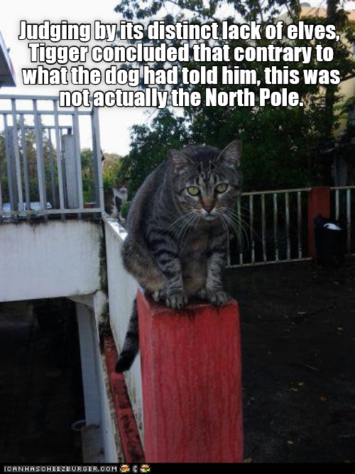 Fooled again - Lolcats - lol | cat memes | funny cats | funny cat ...