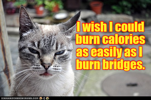 Burn, baby, burn - Lolcats - lol | cat memes | funny cats | funny cat ...