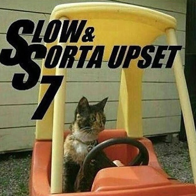 Me IRL - Memebase - Funny Memes