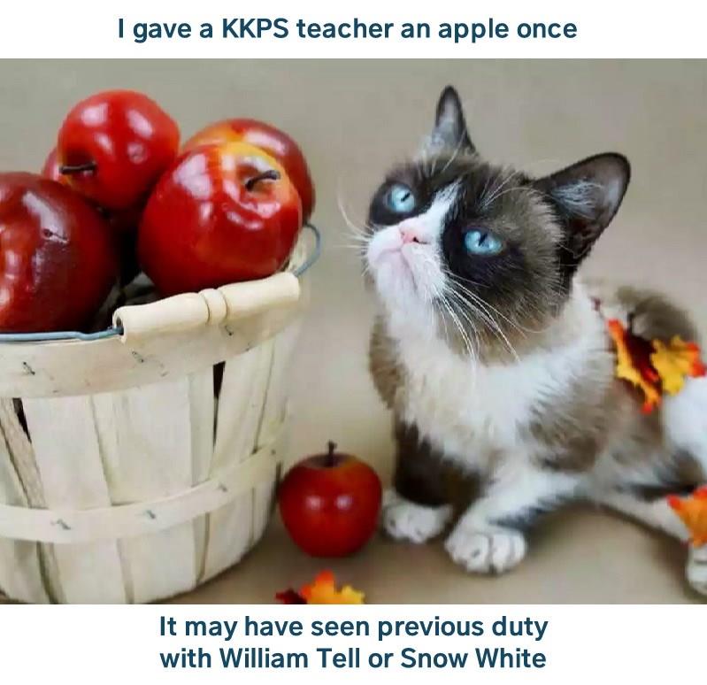Aren't you generous, Grumpy - Lolcats - lol | cat memes | funny cats ...