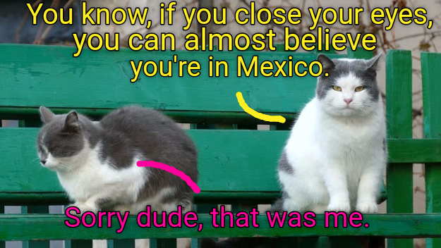 This is the last day I took my friend out to eat at my favorite Mexican ...