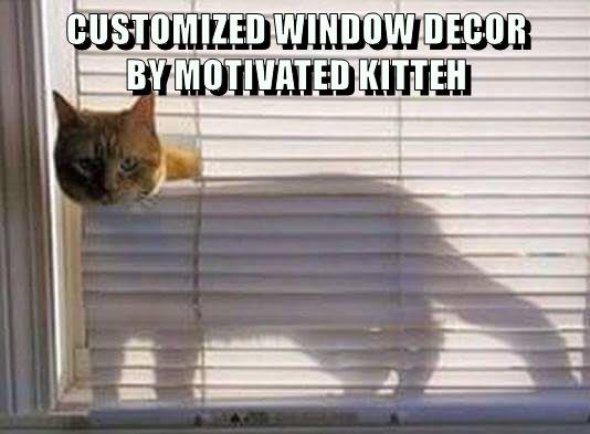 CUSTOMIZED WINDOW DECOR BY MOTIVATED KITTEH - Lolcats - lol | cat memes ...