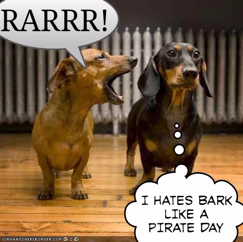 Rarr - I Has A Hotdog - Dog Pictures - Funny pictures of dogs - Dog ...