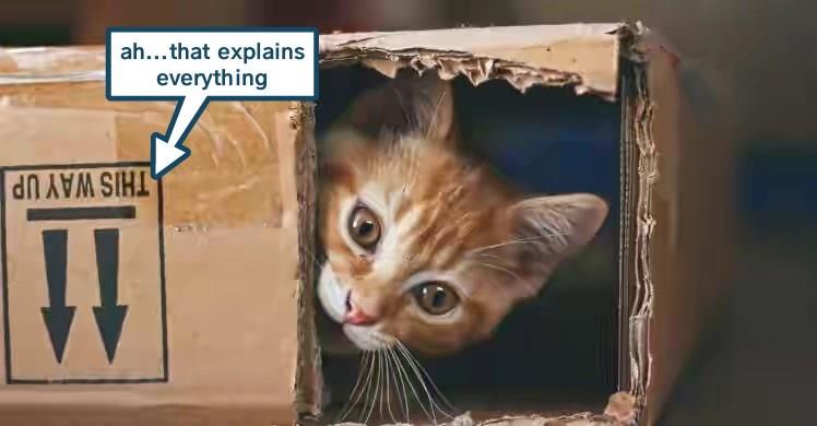 That explains everything - Lolcats - lol | cat memes | funny cats ...