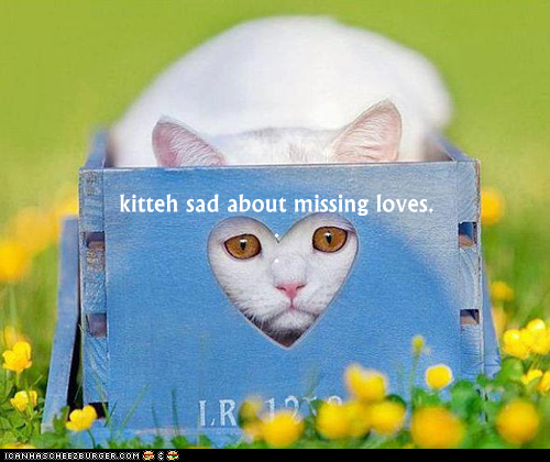 Kitteh sad about missing loves. . . - Lolcats - lol | ca