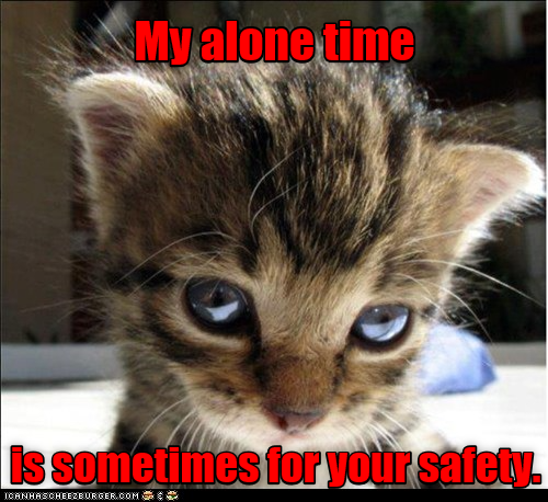 Warning! - Lolcats - lol | cat memes | funny cats | funny cat pictures ...
